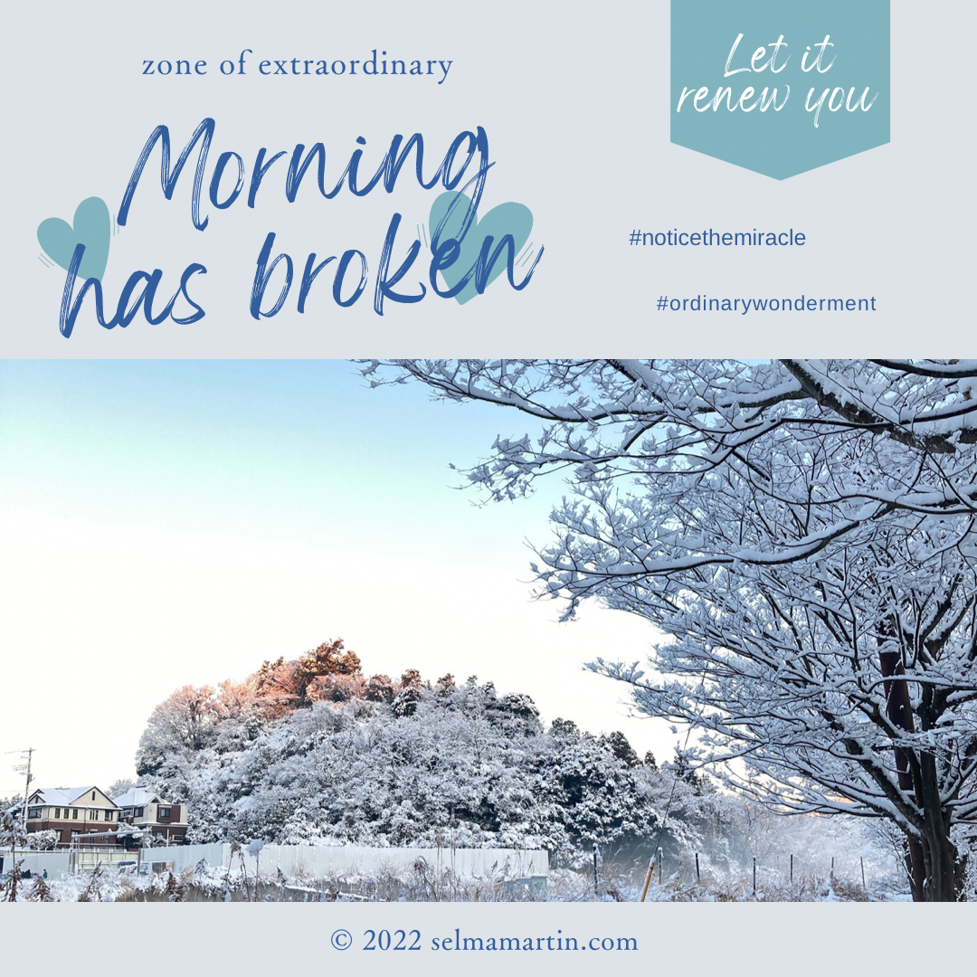 I See That but Think of This – Selma